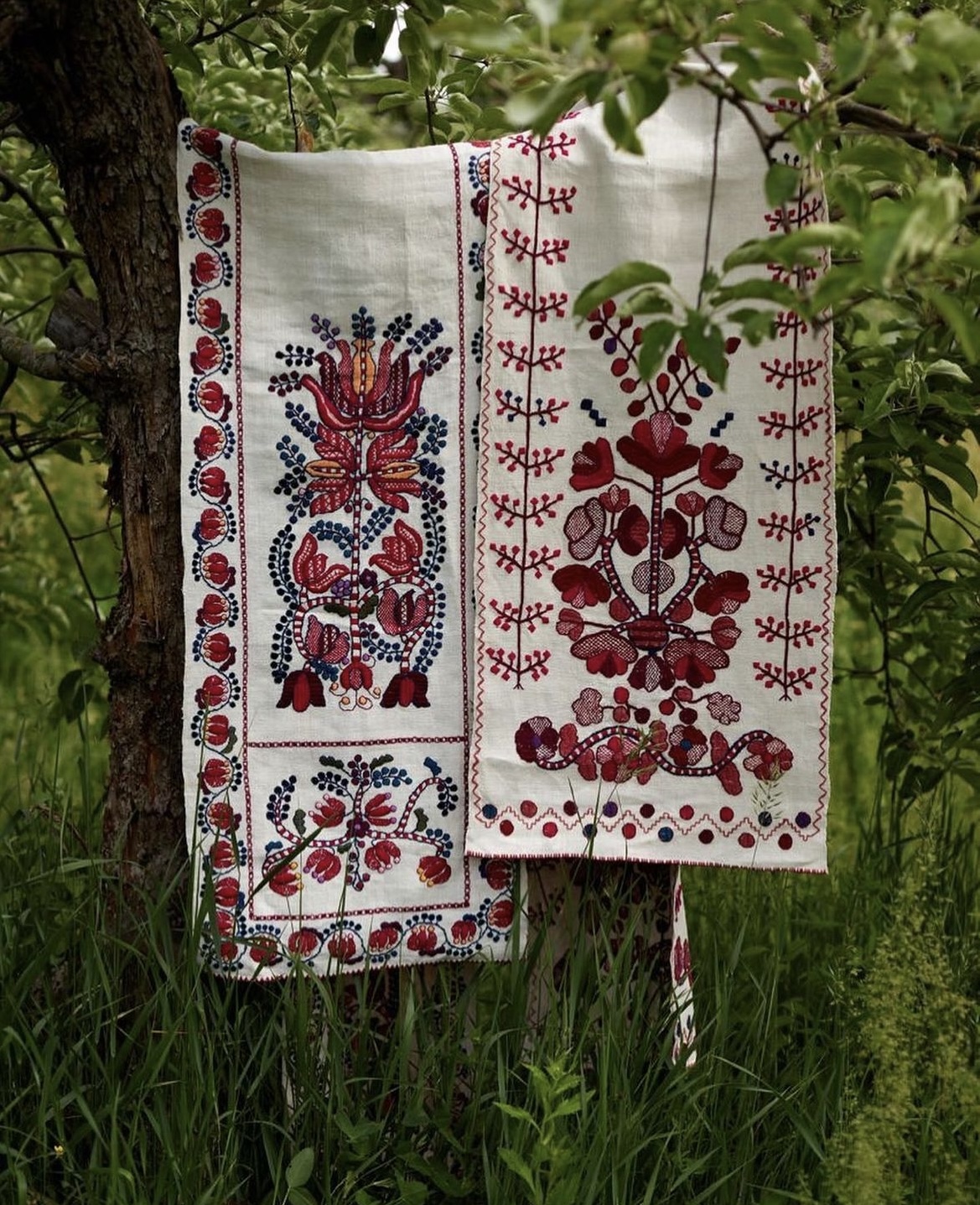 Il ricamo ucraino è un simbolo dell'identità del Paese - Zeta